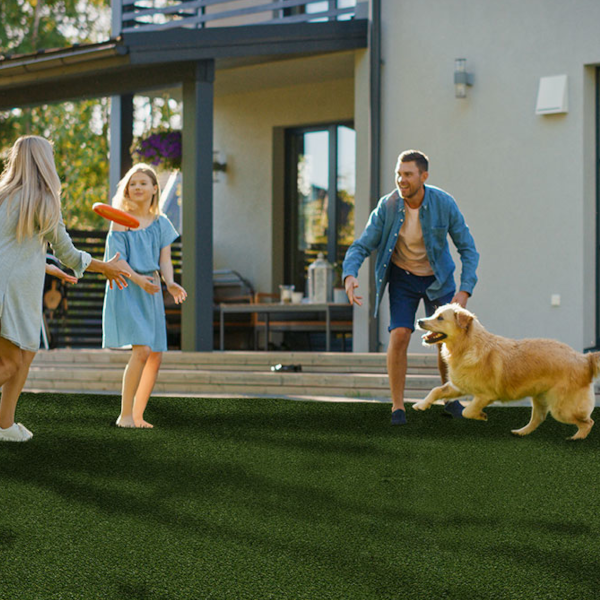 EVERGRASS Summer Gold Turf 96oz - Drohan Brick & Hardscaping